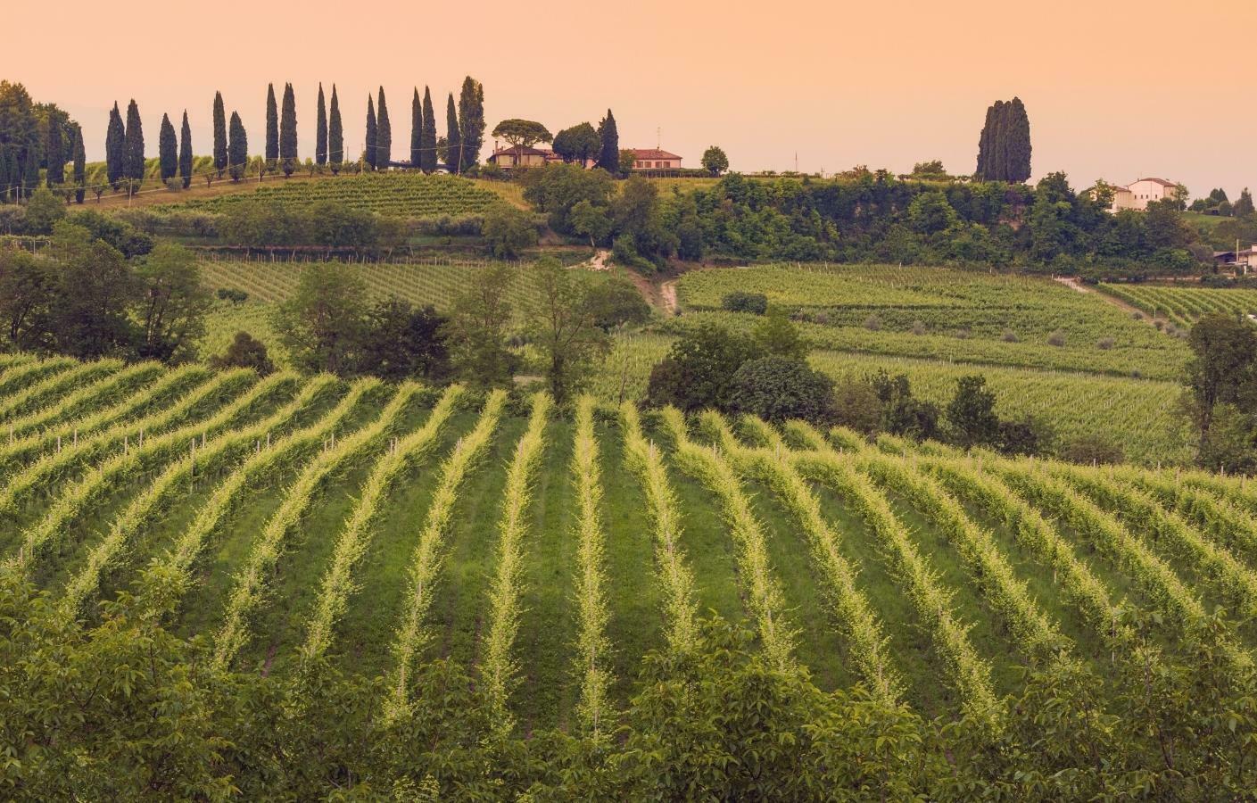Giornata regionale dei Colli Veneti - Folletti in Viaggio